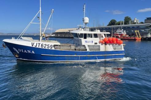 DIANA | Combined Regional Vessel Authorisation Tool