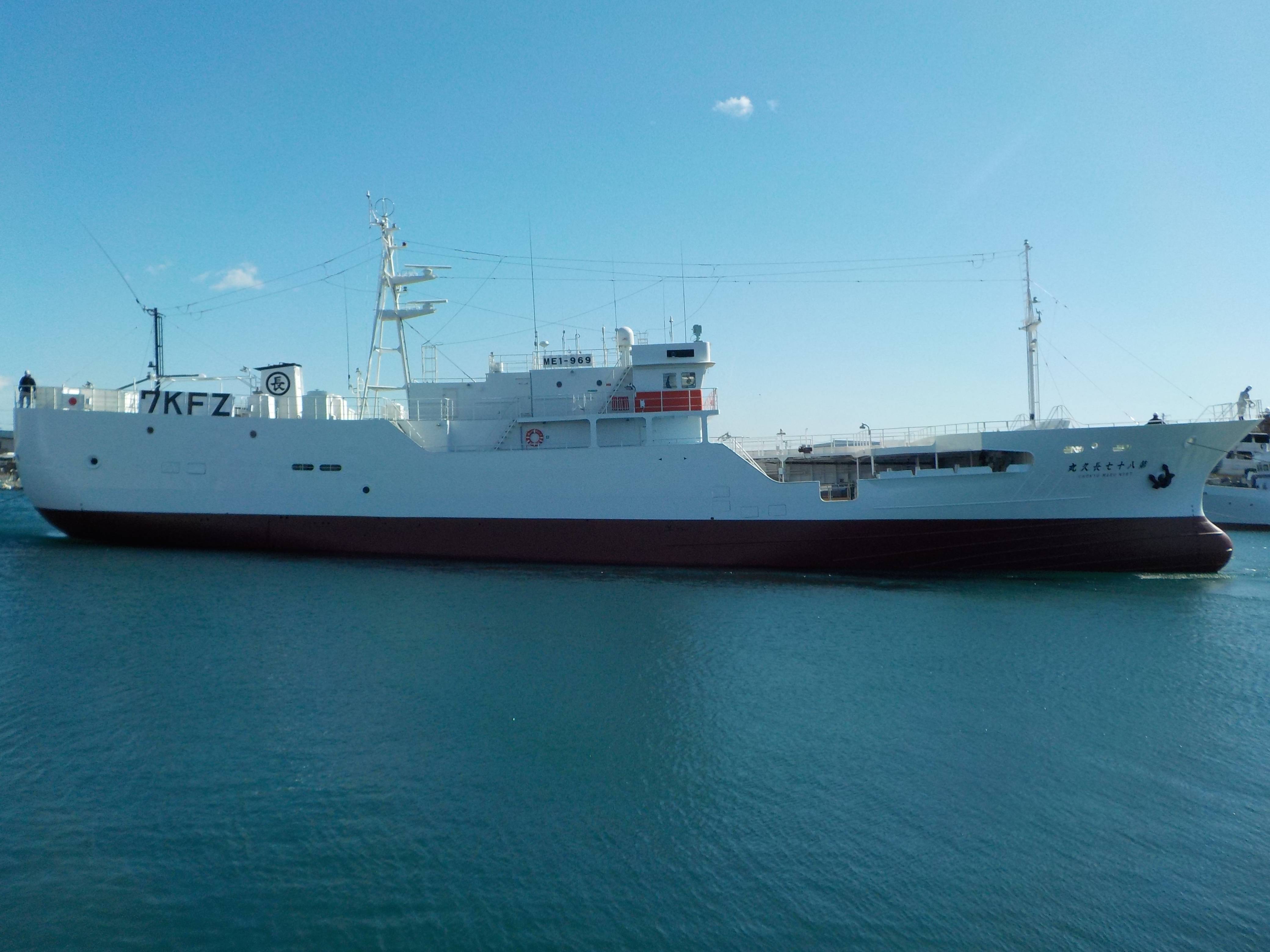 CHOKYU MARU No.87 | Combined Regional Vessel Authorisation Tool