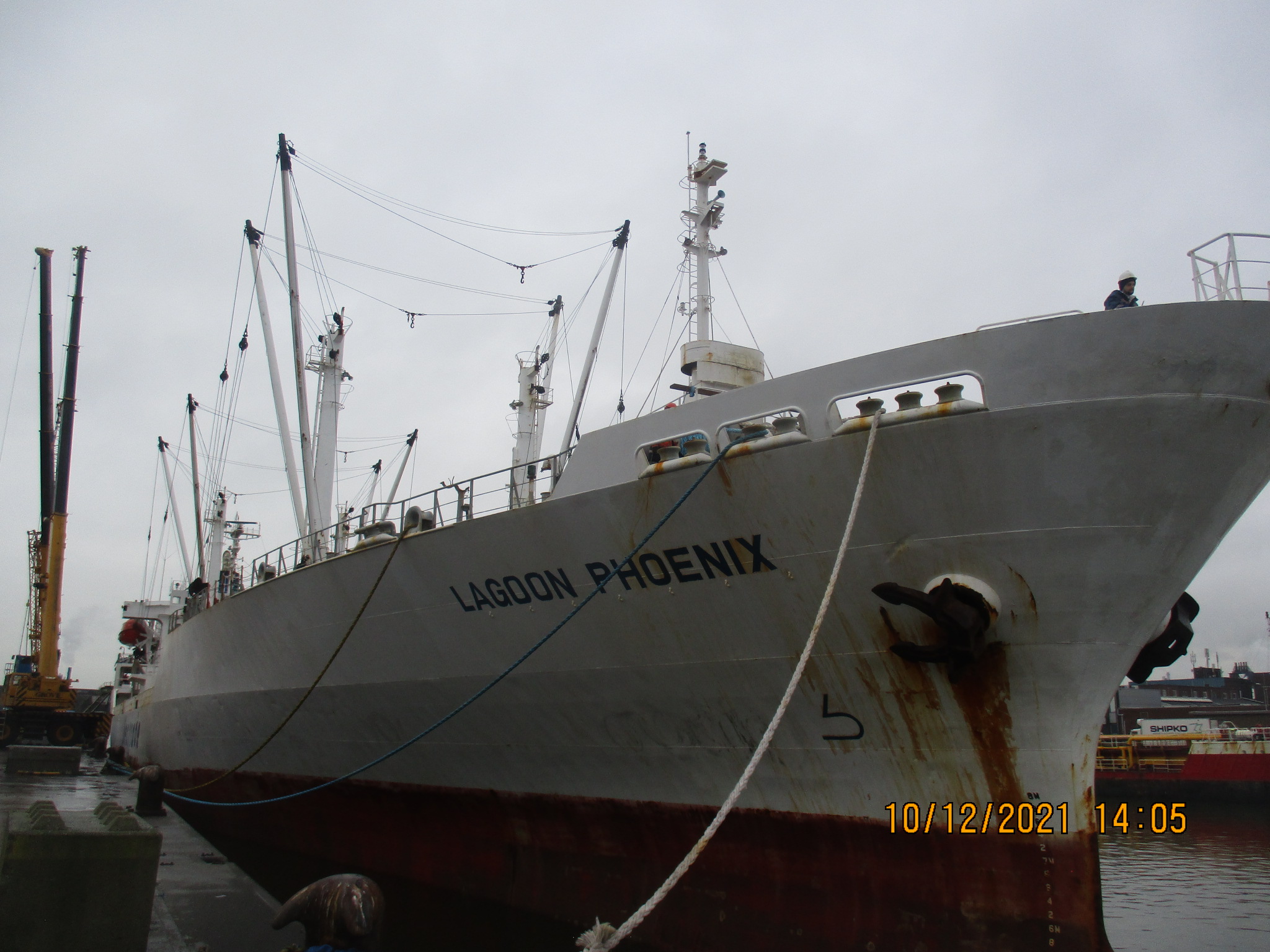 LAGOON PHOENIX | Combined Regional Vessel Authorisation Tool